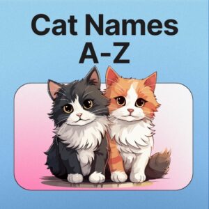 Calico Cats: A Unique and 3 Color Feline Breed - Absolutely Cats